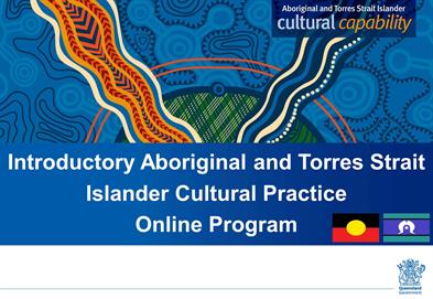 QLD Health Introductory Aboriginal and Torres Strait Islander Cultural ...